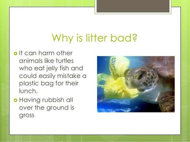 Don't be a litter bug - Why to go Eco Part 2