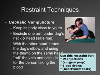 Don’t Bite the Hand! | PPT
