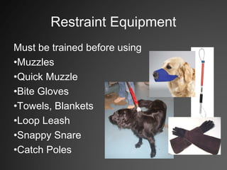 Don’t Bite the Hand! | PPT