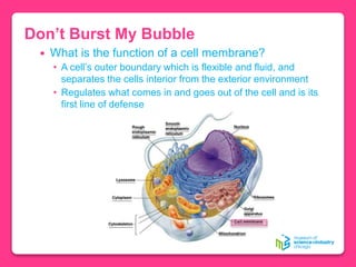Cell Membrane Don't Burst My Bubble | PPT