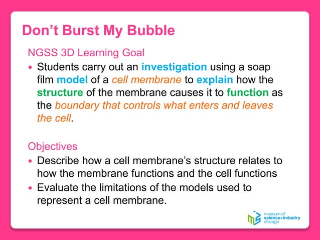 Cell Membrane Don't Burst My Bubble | PPT