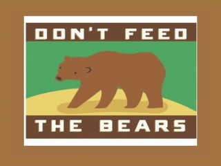 Don't feed the bears by Alex Tippett | PPT