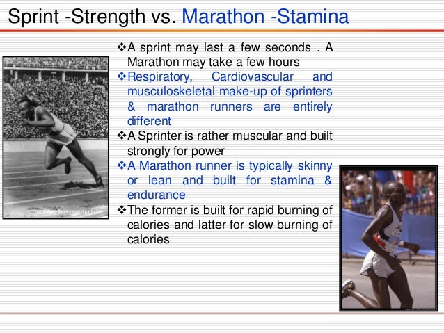 Dont Sprint The Marathon Summarised