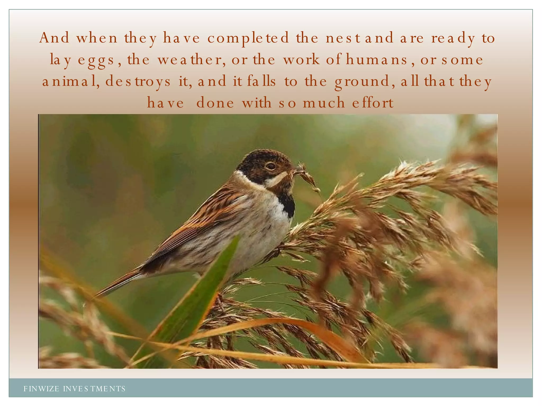 Dontt Stop Singing | PPT