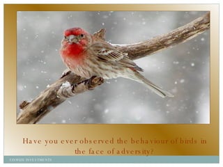 Dontt Stop Singing | PPT