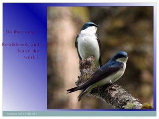 Dontt Stop Singing | PPS | Birdwatching | Hobbies & Interests