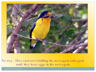 Dontt Stop Singing | PPT