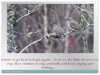 Dontt Stop Singing | PPS | Birdwatching | Hobbies & Interests