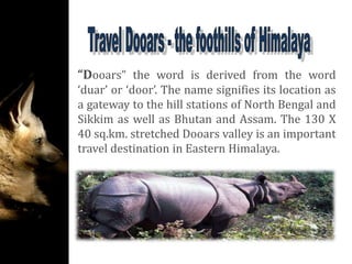Dooars jungle tour | PPTX