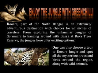 Dooars jungle tour | PPTX