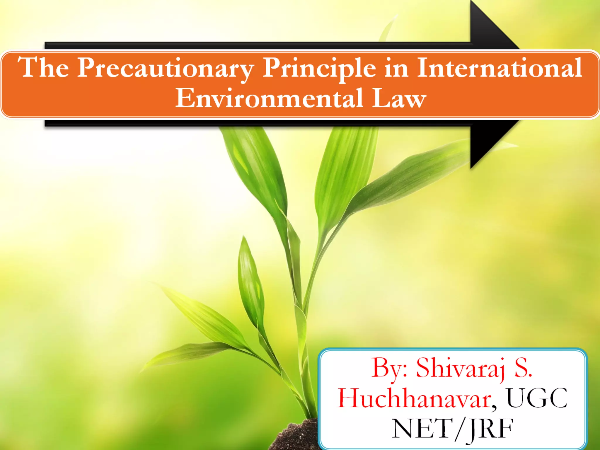 The Precautionary Principle in International Environmental Law | PPT