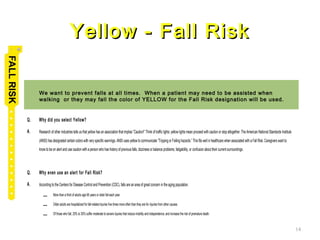 Color of Safety Wristbands | PPT
