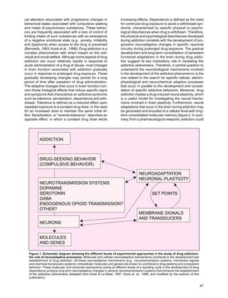 Dopamina adicción y neurobiología | PDF