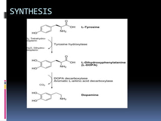 Dopamine Synthesis