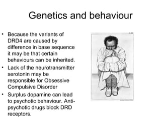 Dopamine | PPT