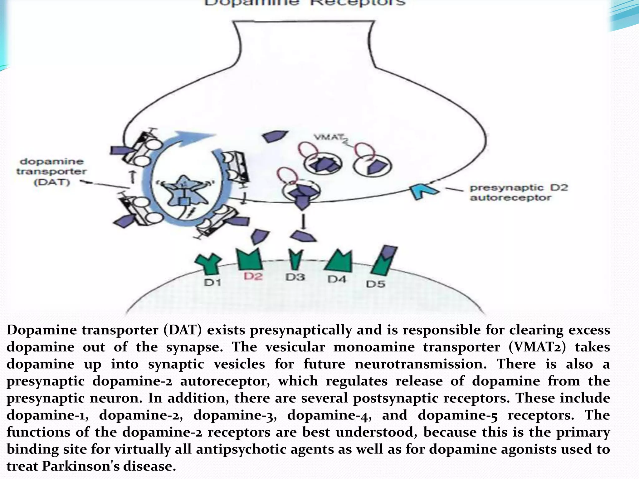Dopamine And Pathways | PPTX