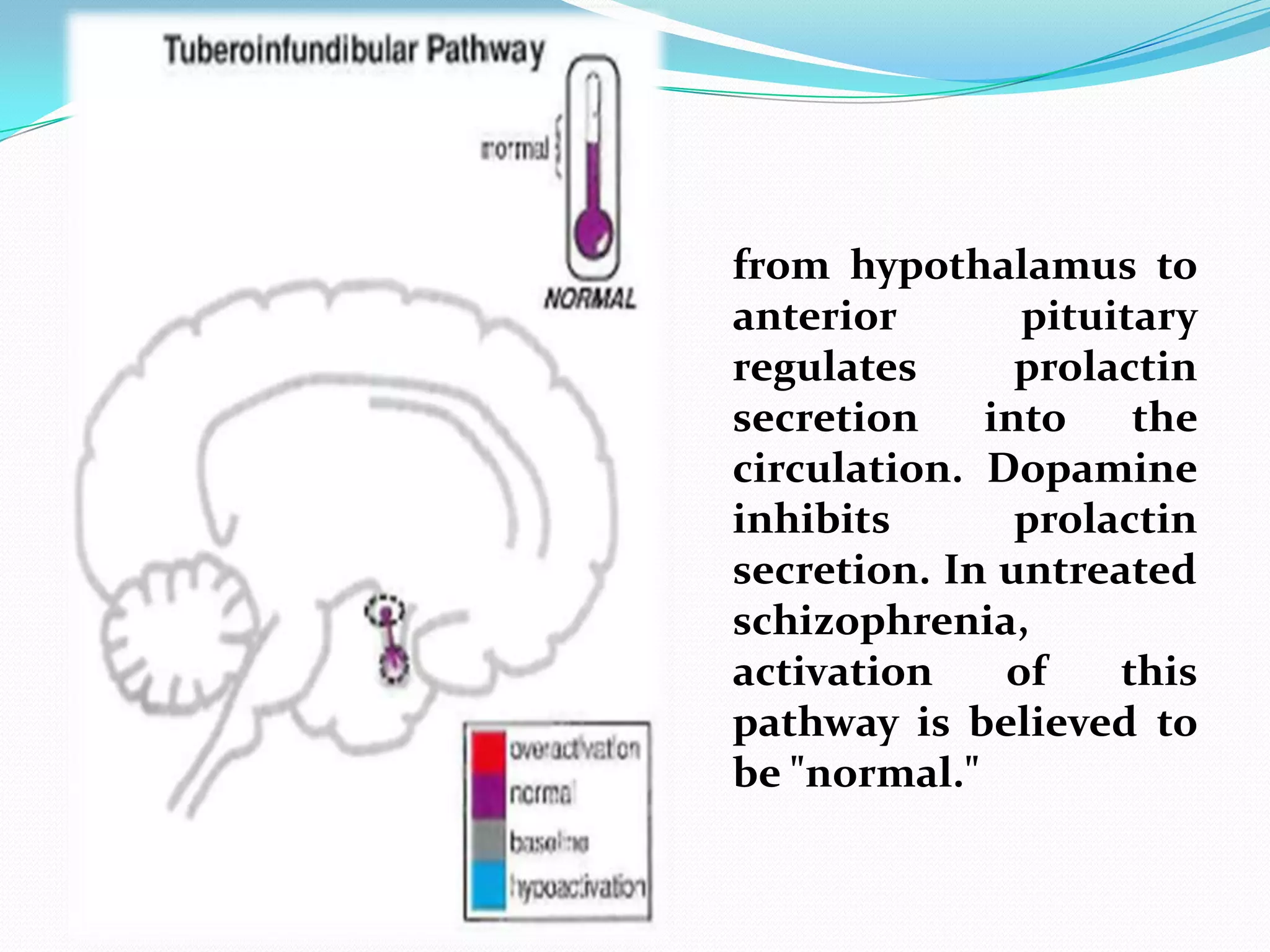 Dopamine And Pathways | PPTX