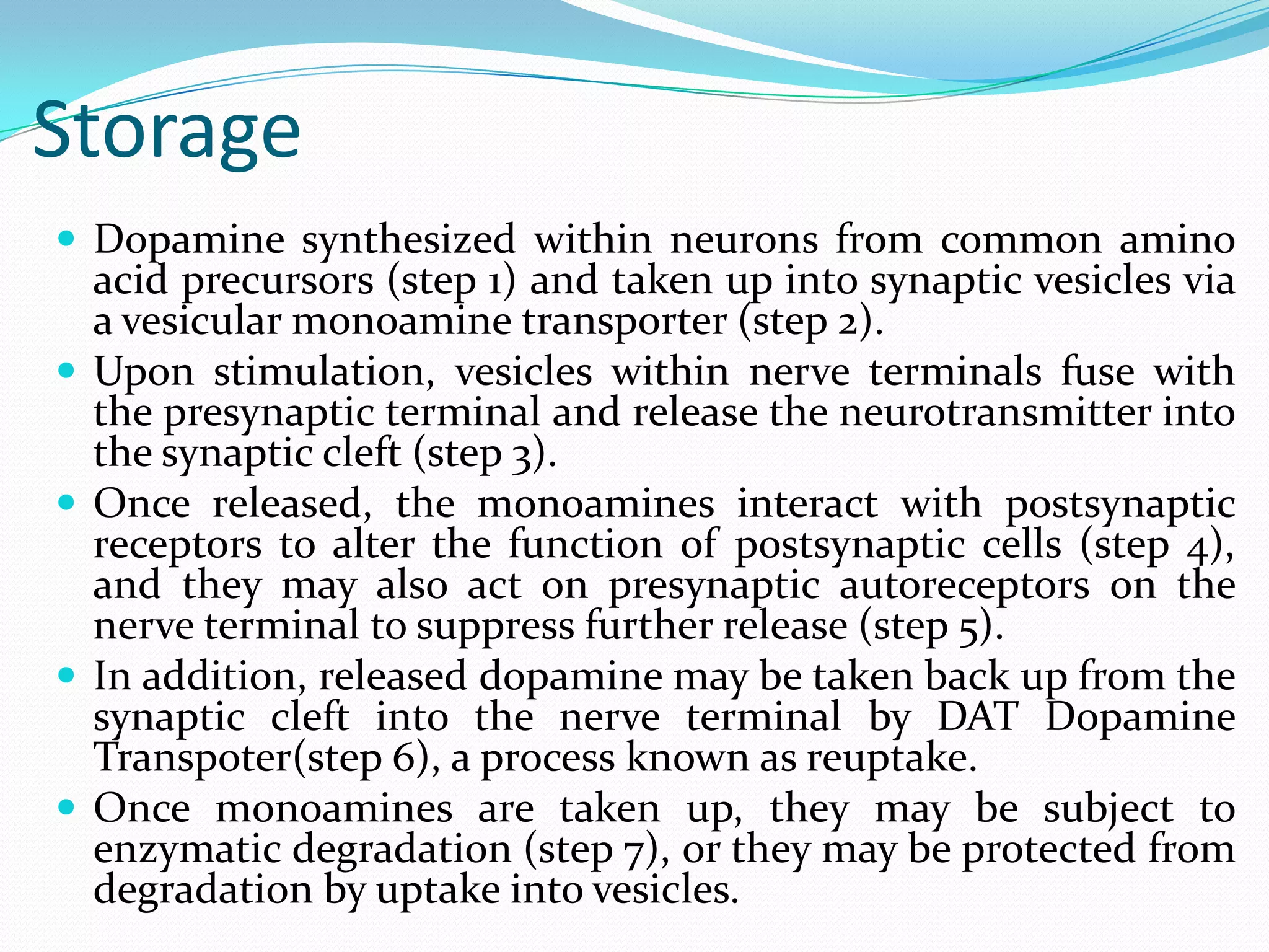 Dopamine And Pathways | PPTX