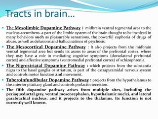 Dopamine And Pathways | PPTX