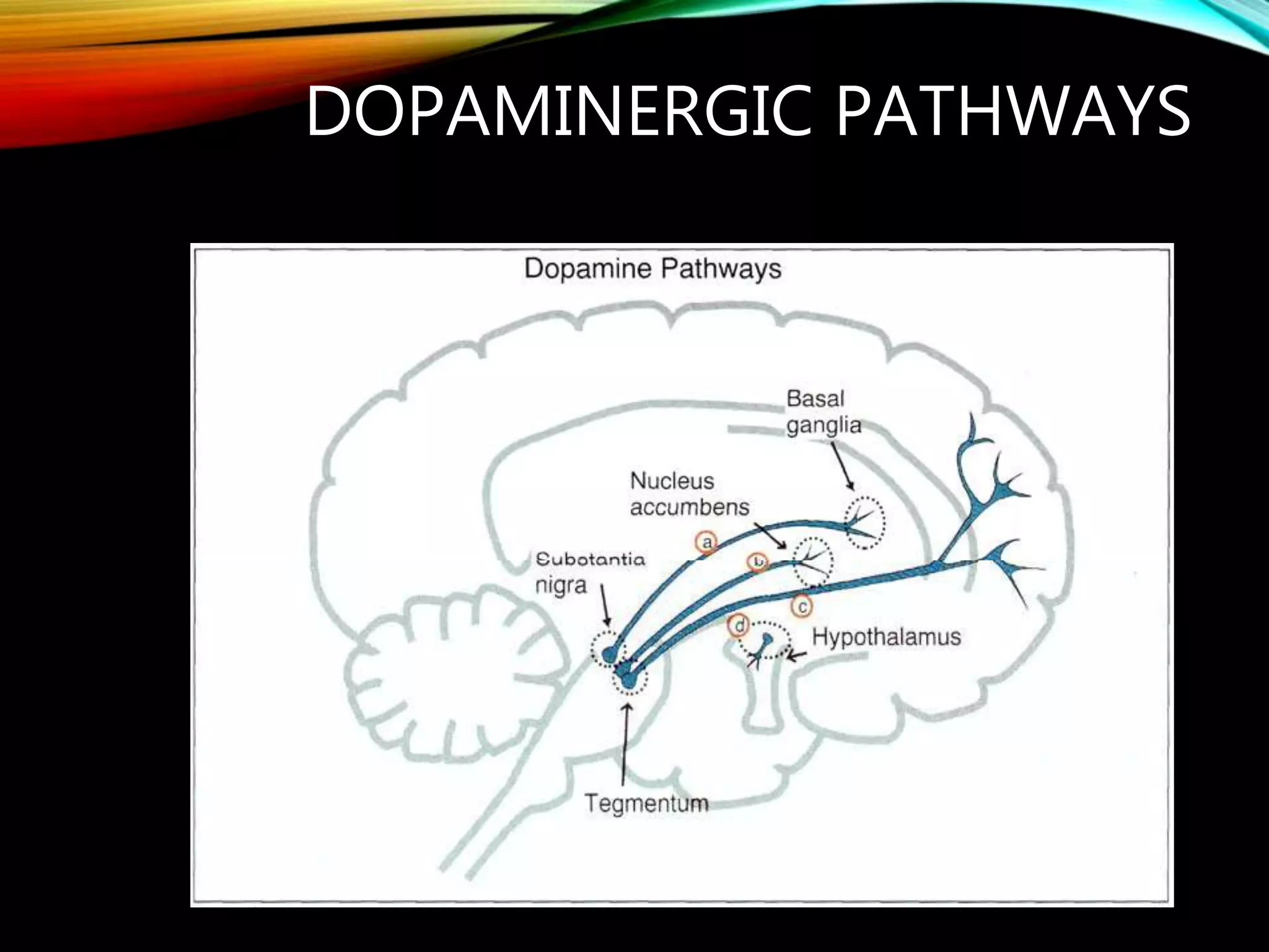 Dopamine | PPTX