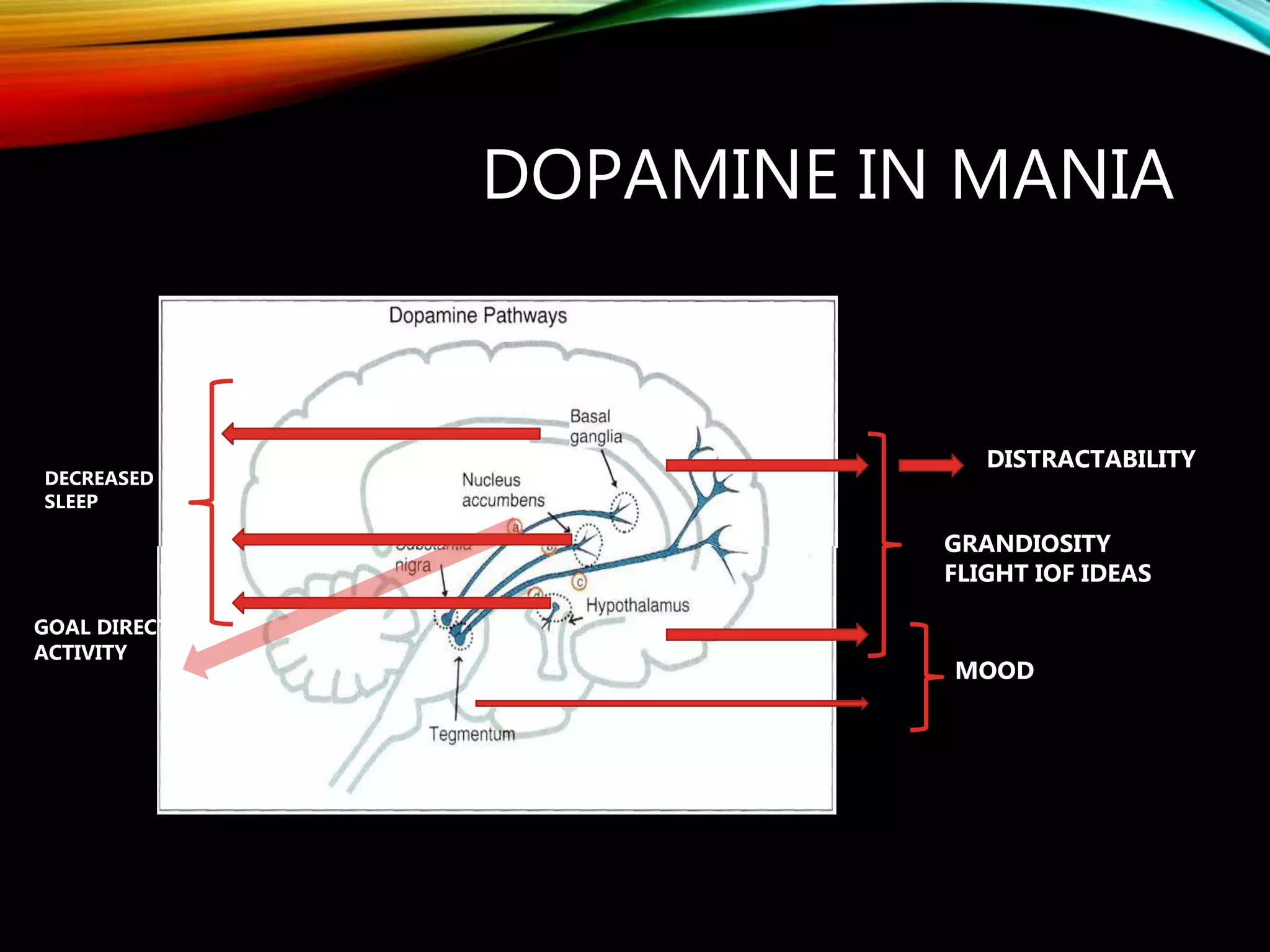 Dopamine | PPTX