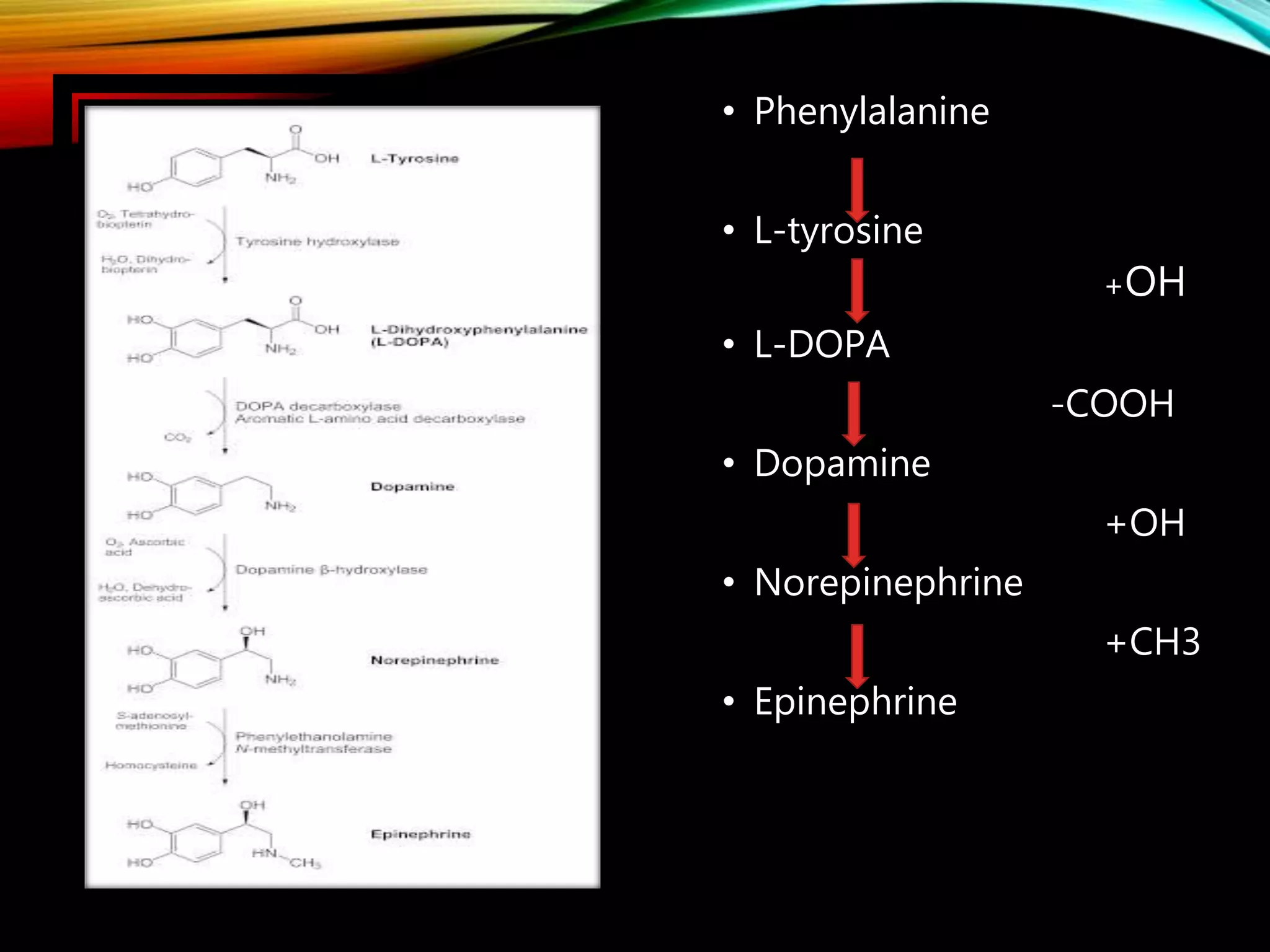 Dopamine | PPTX
