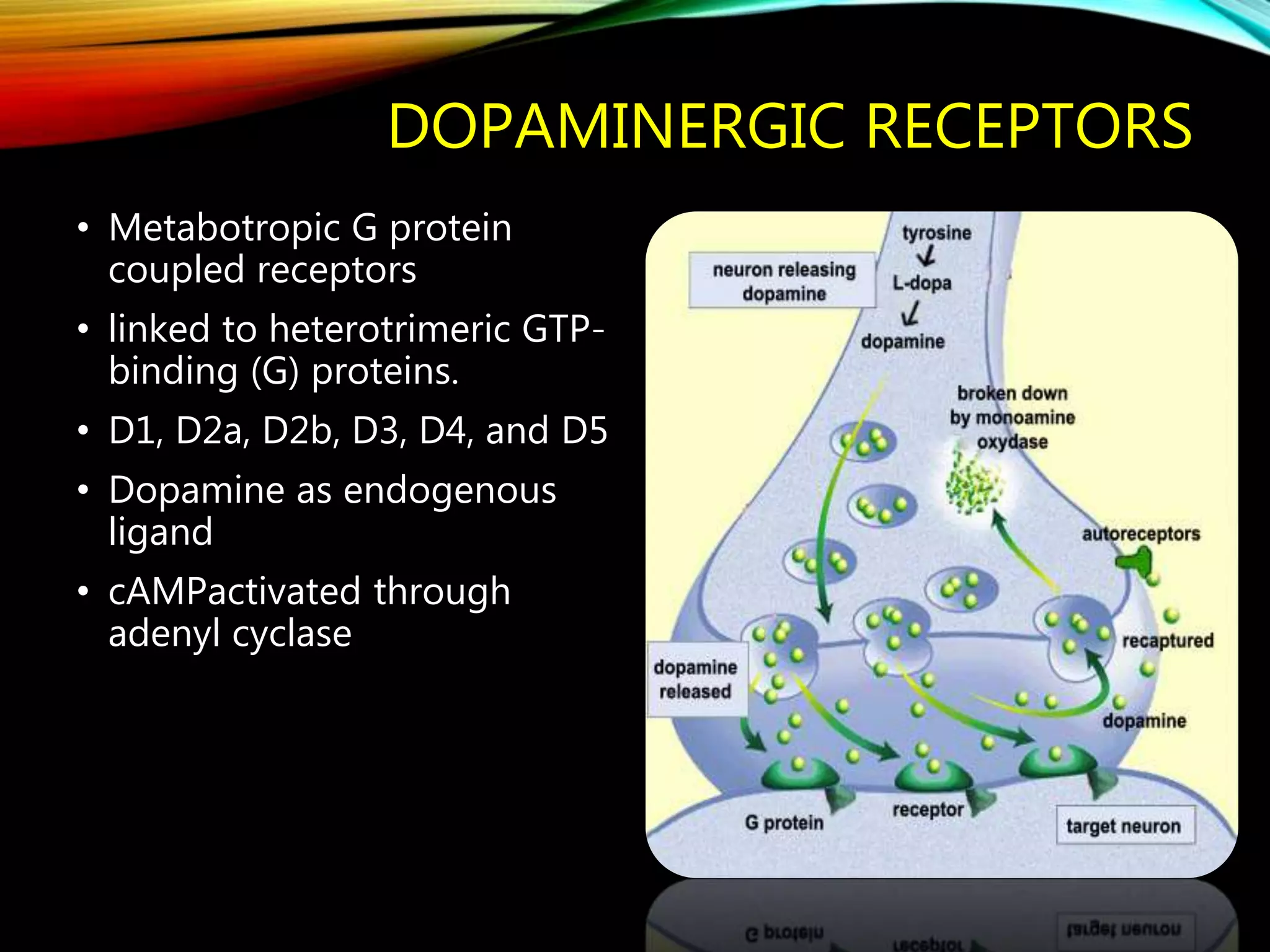 Dopamine | PPTX
