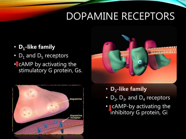 Dopamine | PPTX