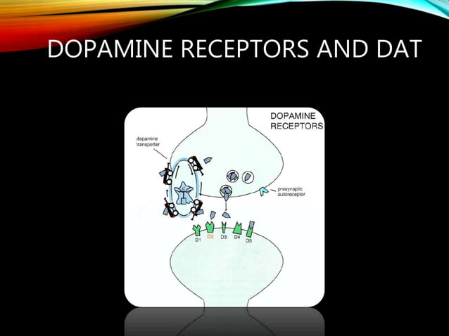 Dopamine | PPTX