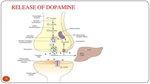 Dopamine