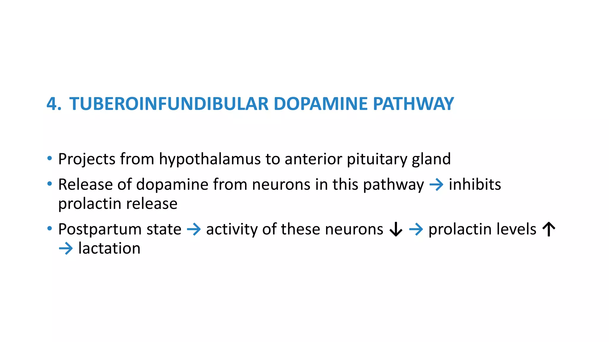 Dopamine | PPTX