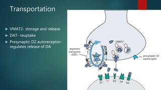 Dopamine | PPTX | Brain and Nervous System Disorders | Diseases and ...