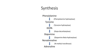 Dopamine | PPTX