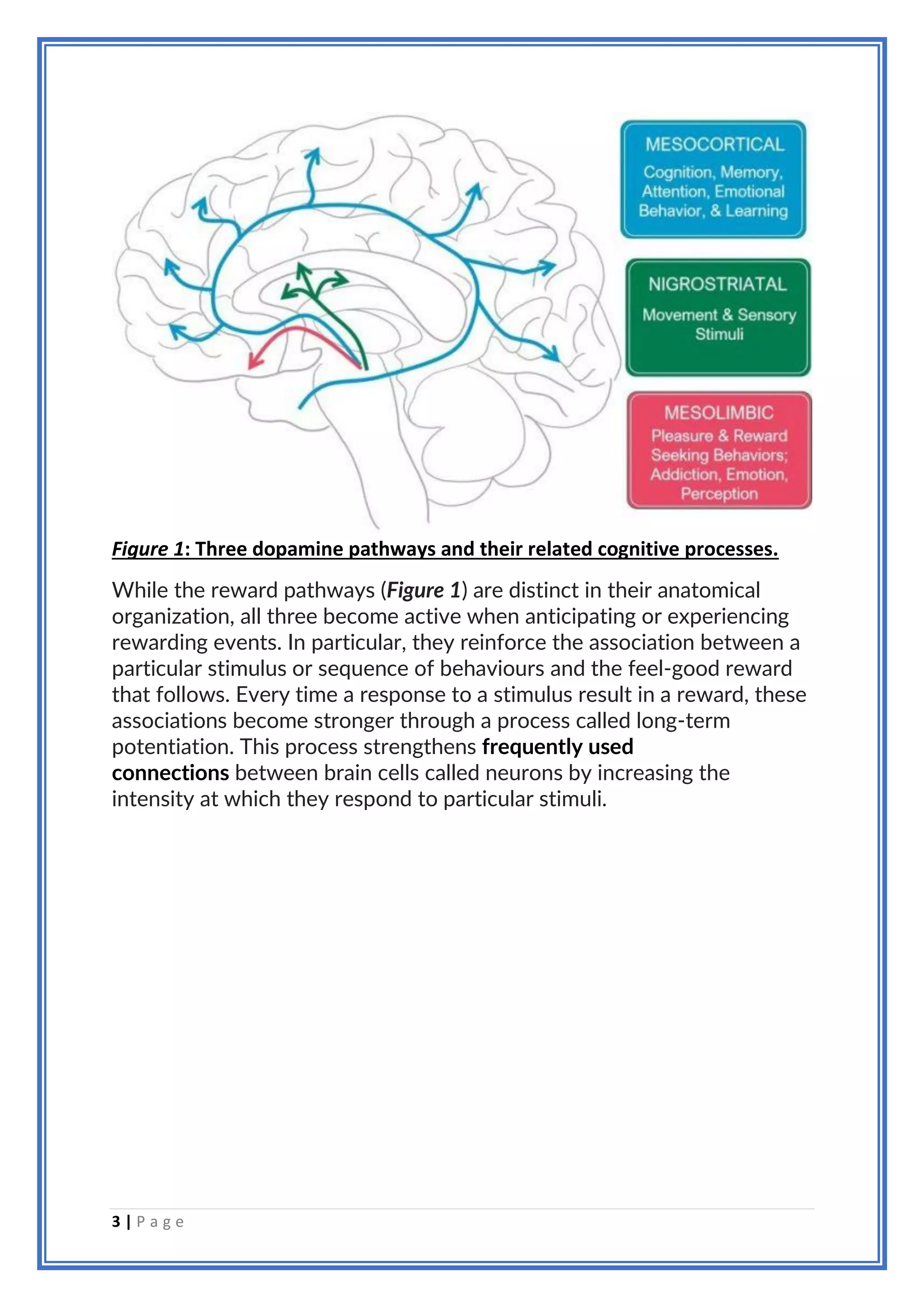 dopamine class 12 biology project.pdf