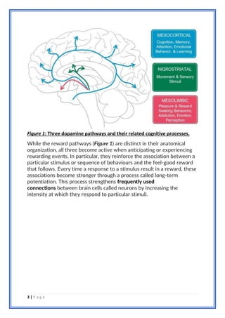 dopamine class 12 biology project.pdf