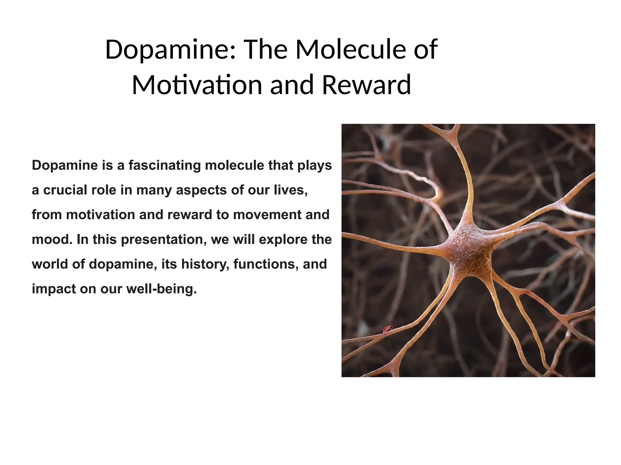 Dopamine and reward related neurotransmitter | PPTX