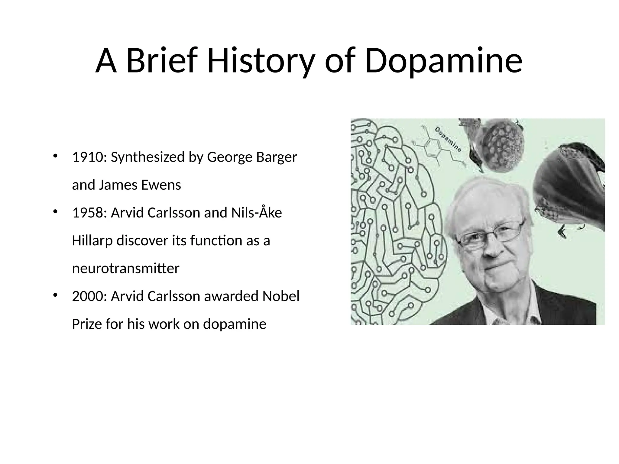Dopamine and reward related neurotransmitter | PPTX
