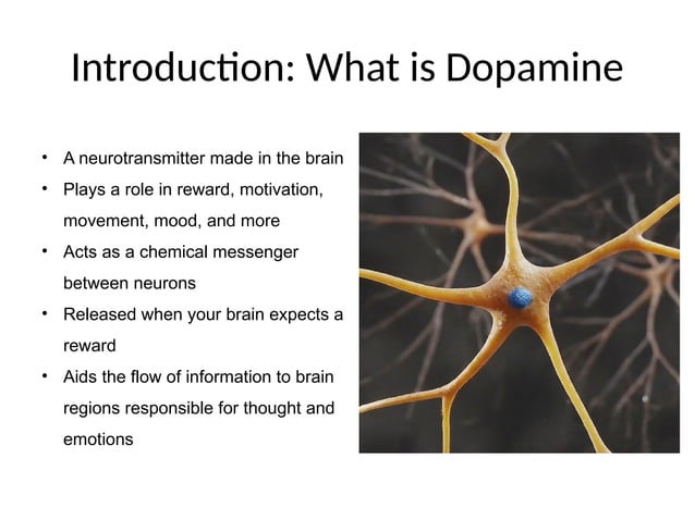 Dopamine and reward related neurotransmitter | PPTX