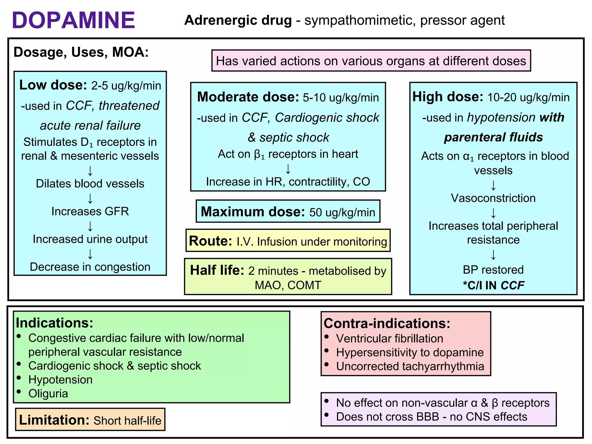 Pharmacology of Dopamine | PPTX