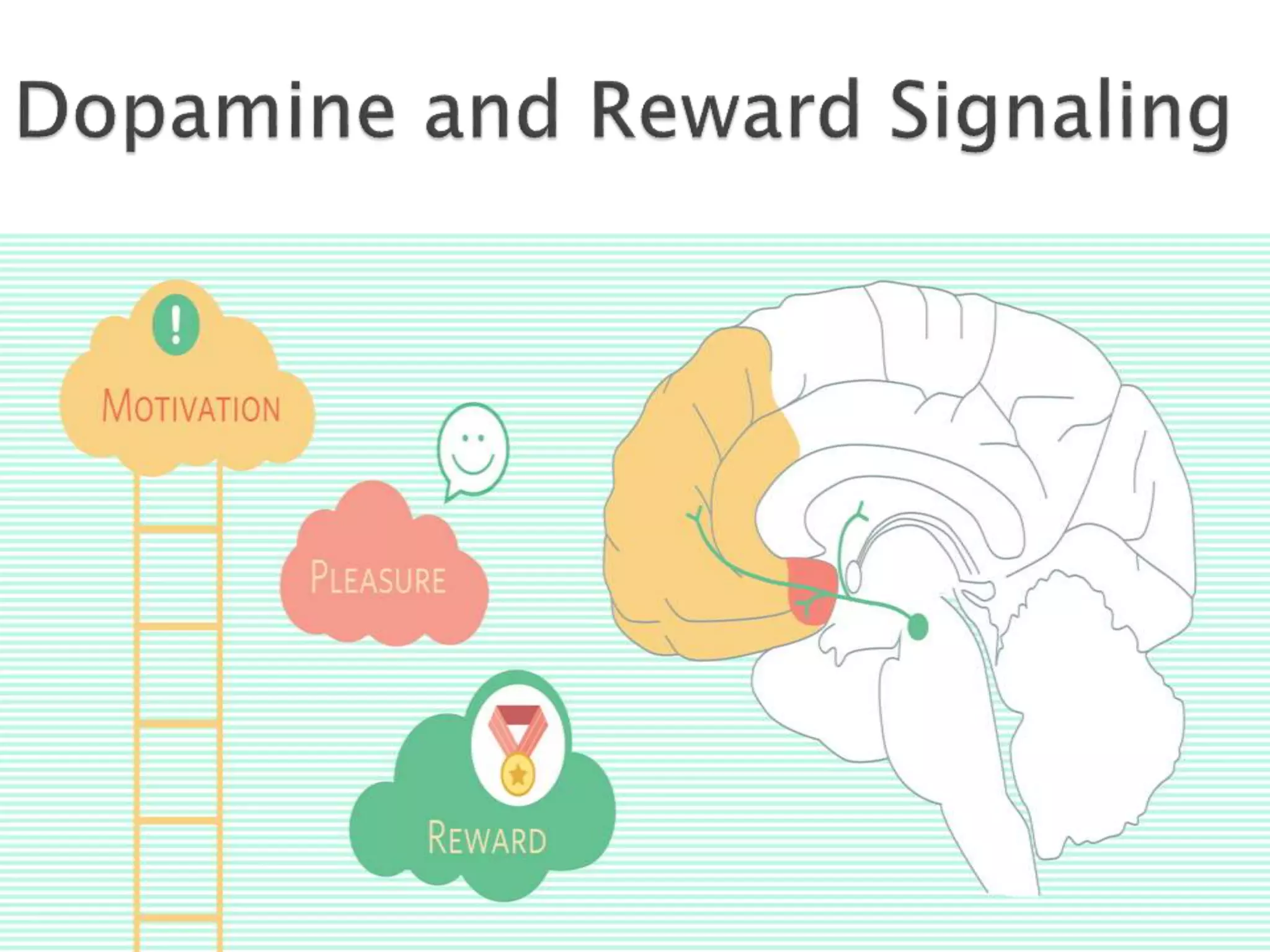 Dopamine, dopaminergic system, parkinson's disease, pharmacotherapy and ...