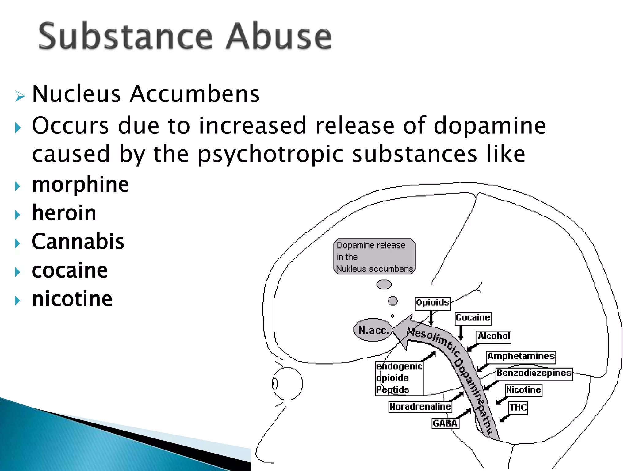 Dopamine, dopaminergic system, parkinson's disease, pharmacotherapy and modulation | PPTX