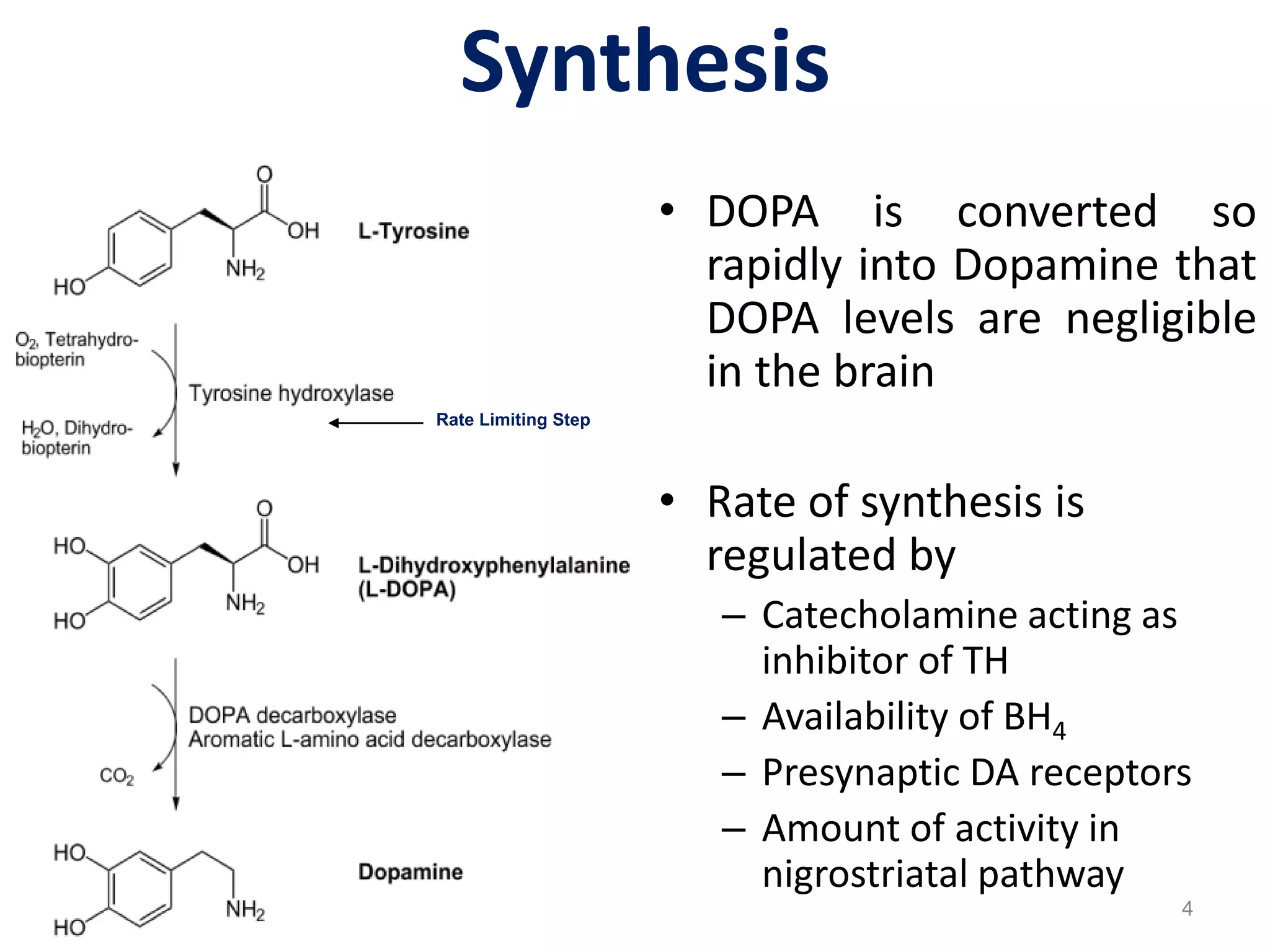 Dopamine, dopaminergic system, parkinson's disease, pharmacotherapy and ...