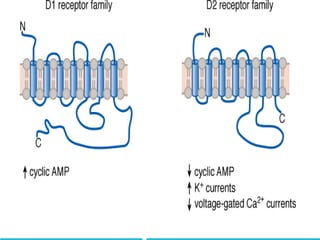Dopamine, dopaminergic system, parkinson's disease, pharmacotherapy and ...