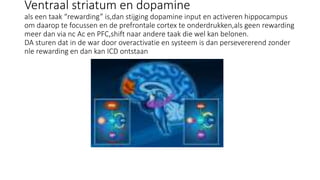 Dopamine Dysregulation/Withdrawal Syndrome - Dr. Ph. Bourgeois | PPTX