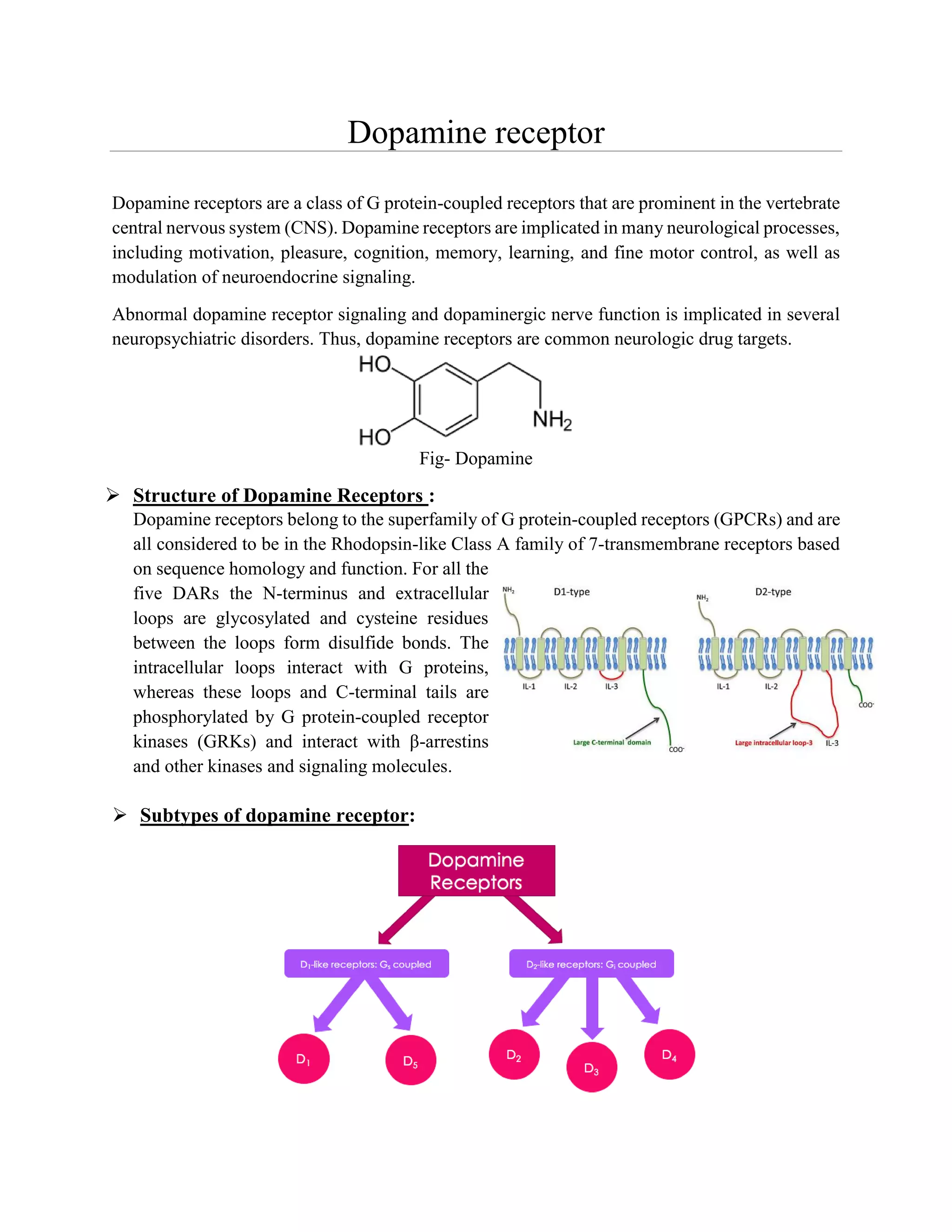 Dopamine & GABA receptor in a nutshell | PDF
