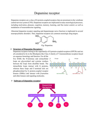 Dopamine & GABA receptor in a nutshell | PDF