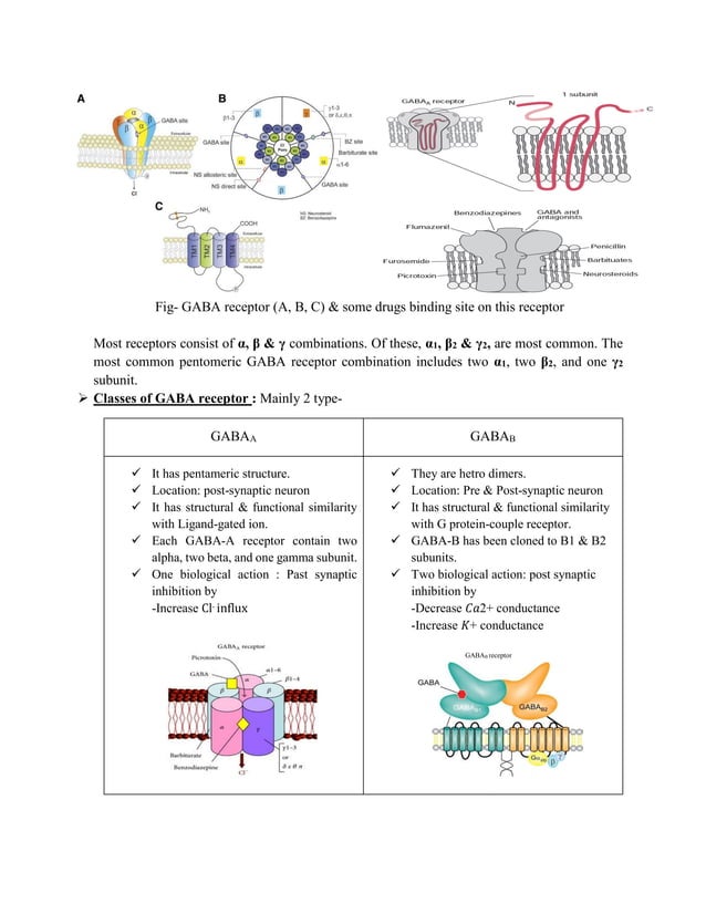 Dopamine & GABA receptor in a nutshell | PDF