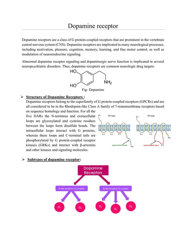 Dopamine & GABA receptor in a nutshell | PDF