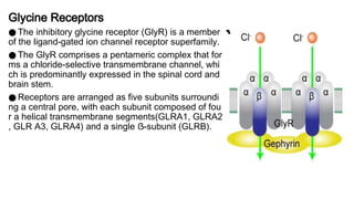 DOPAMINE& GLYCINE.ppt dopamine and glycein | PPT
