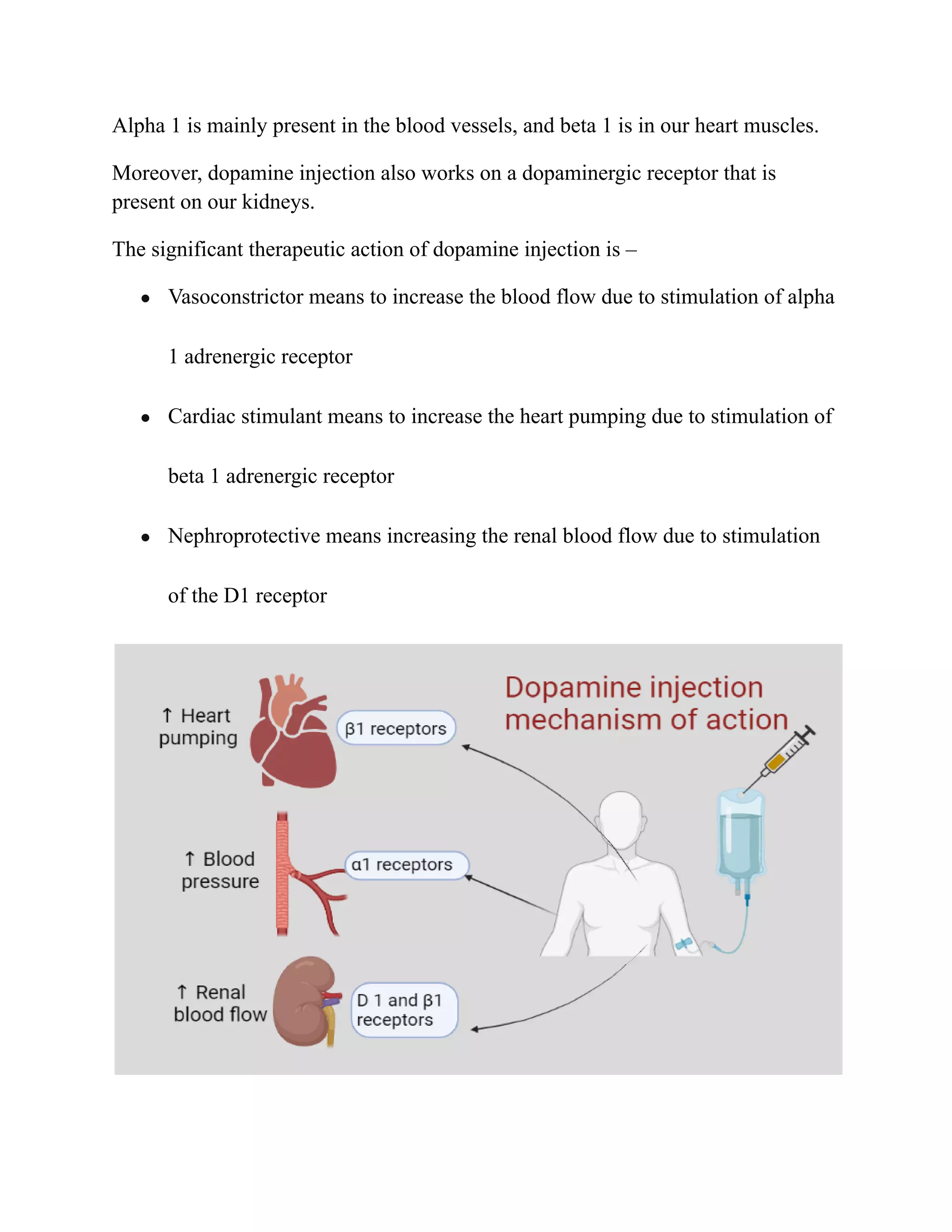 Dopamine injection uses.pdf.pdf | First Aid | Injuries